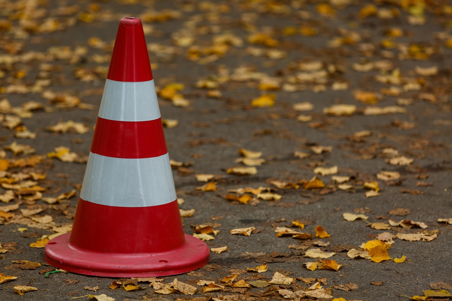 Falling Leaves, Rising Risks: Safety Tips for Autumn Construction - RK
